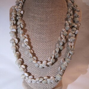 Boho Trochus Shell Necklace: 44" Beach Style Snail Shell Cluster - Etsy