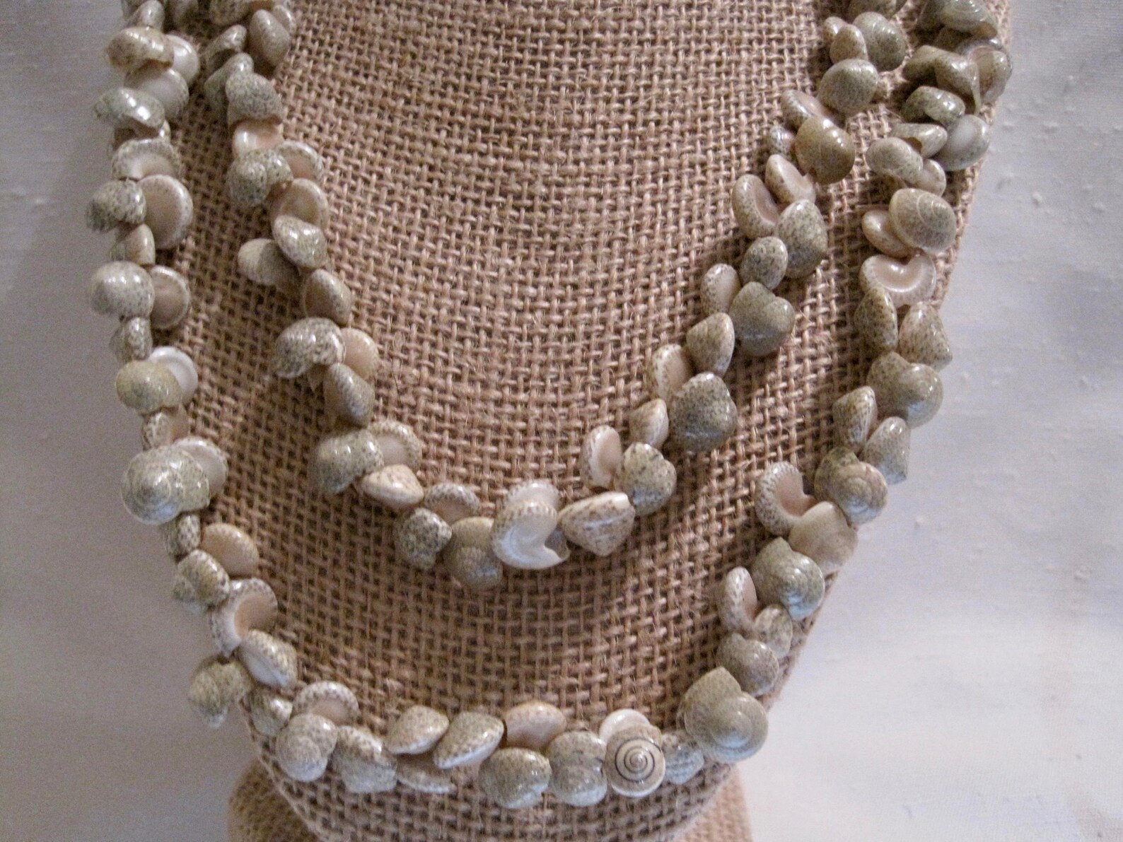 Boho Trochus Shell Necklace: 44" Beach Style Snail Shell Cluster - Etsy
