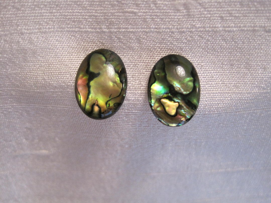 New Zealand Genuine Abalone Mollusks Sea Shell Snails Oval Small Stud ...