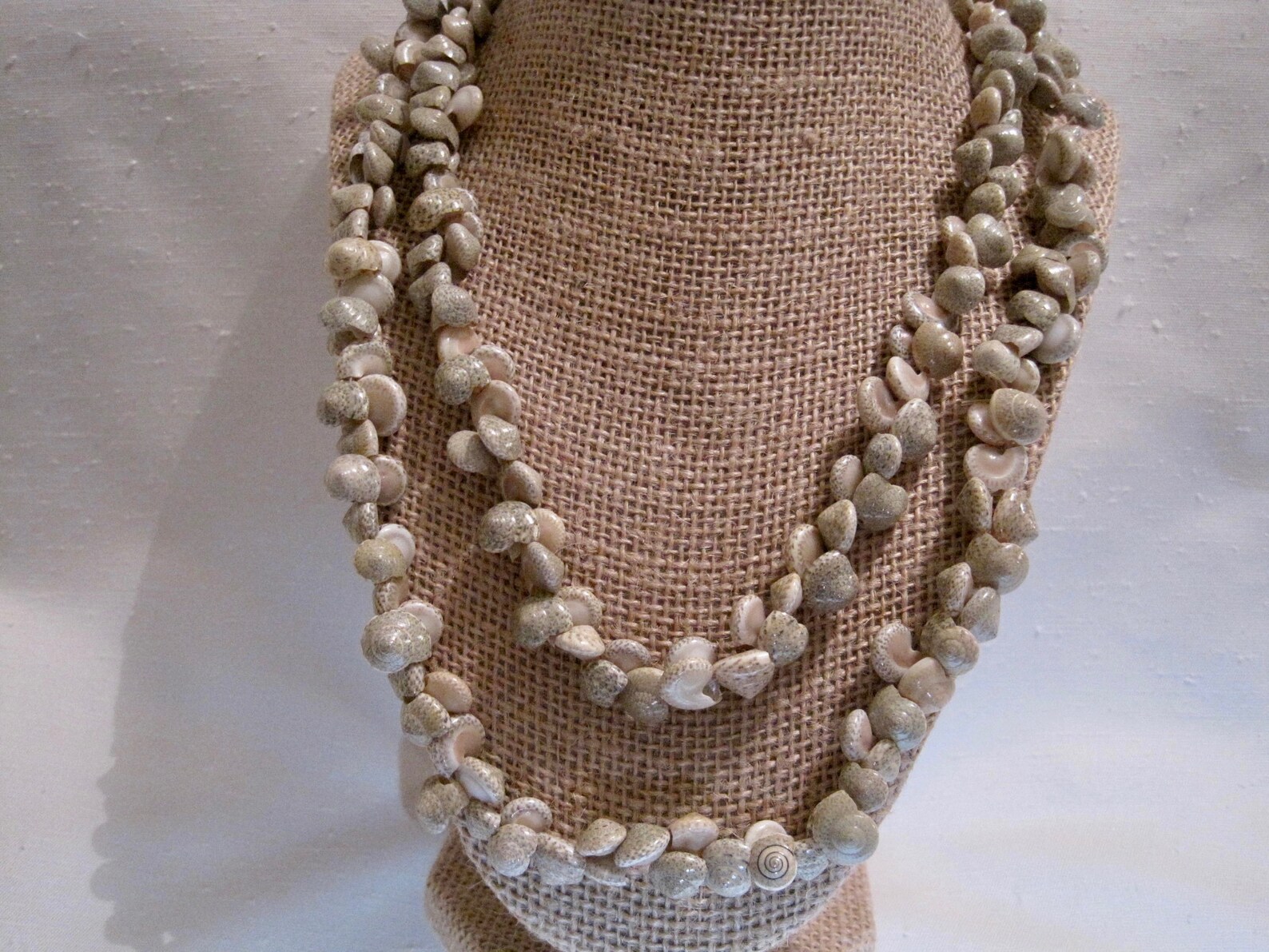 Boho Trochus Shell Necklace: 44" Beach Style Snail Shell Cluster - Etsy