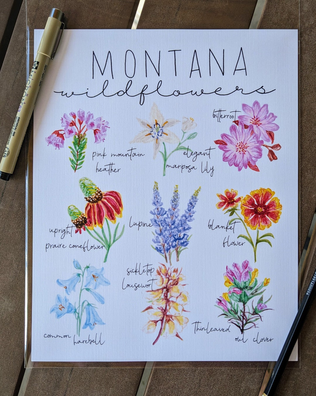 Montana Wildflowers Watercolor Art - Etsy