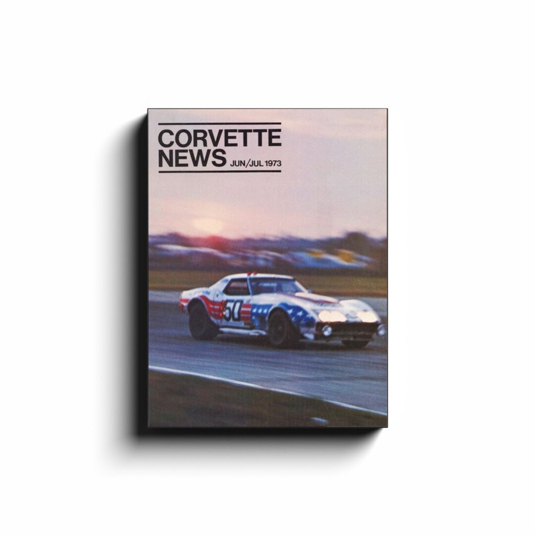 John Greenwood BF Goodrich Corvette Race Car 1973 12 Hours of Sebring ...