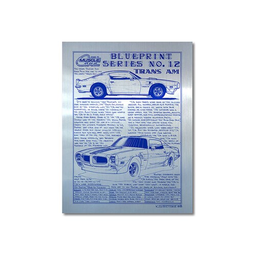 1970 Trans-am Firebird Canvas Poster Art Print Pontiac Muscle - Etsy