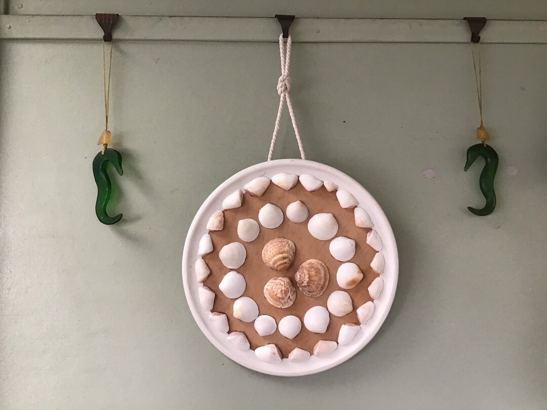 She Sells Shoal Bay Sea Shells - Etsy