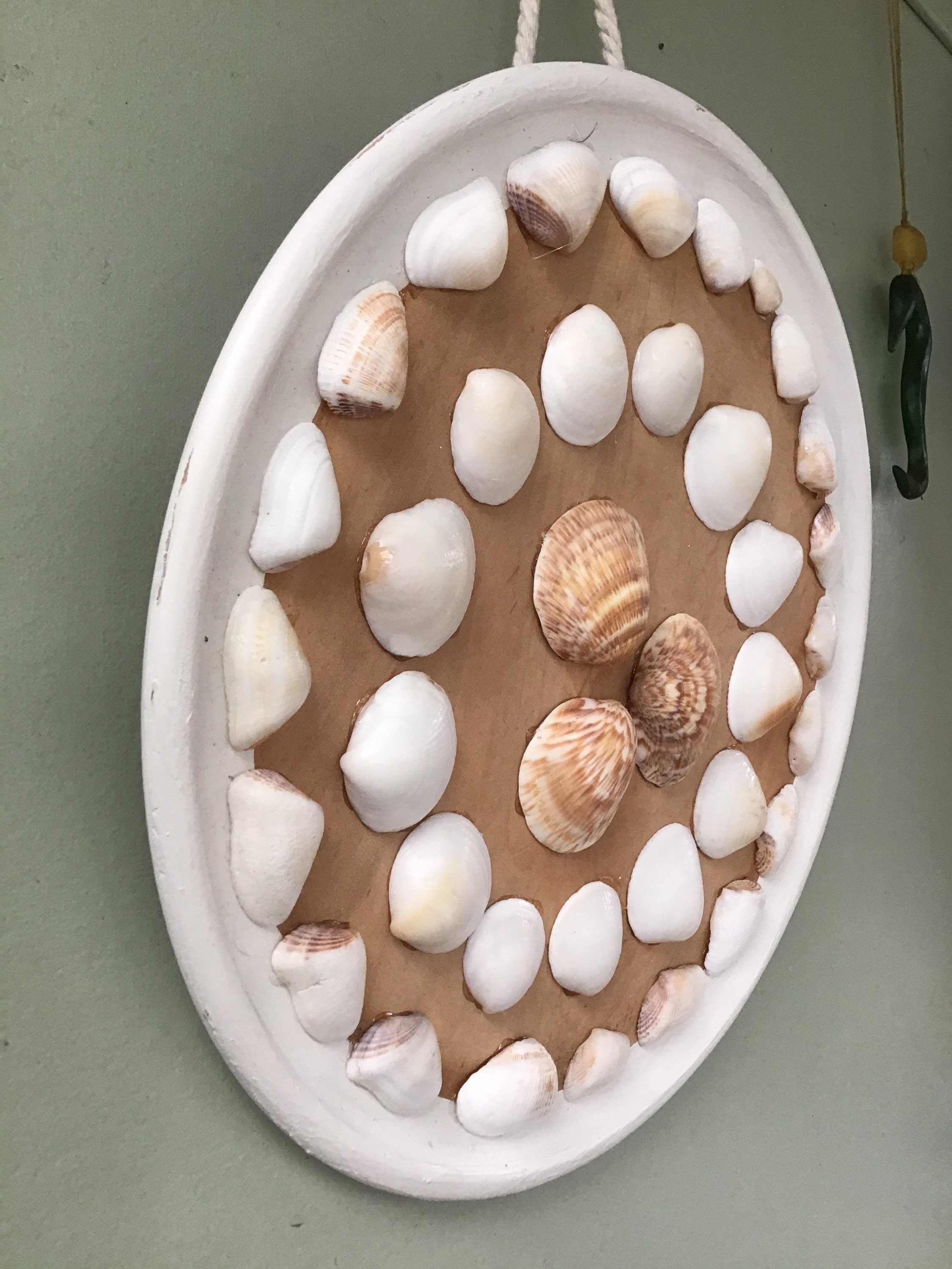 She Sells Shoal Bay Sea Shells - Etsy