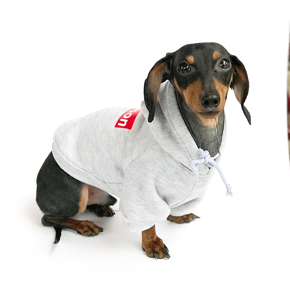 Custom Dog Hoodie || Personalized Dog Hoodie sold by Agness | SKU ... Custom Dog Hoodie || Personalized Dog Hoodie sold by Agness | SKU ...