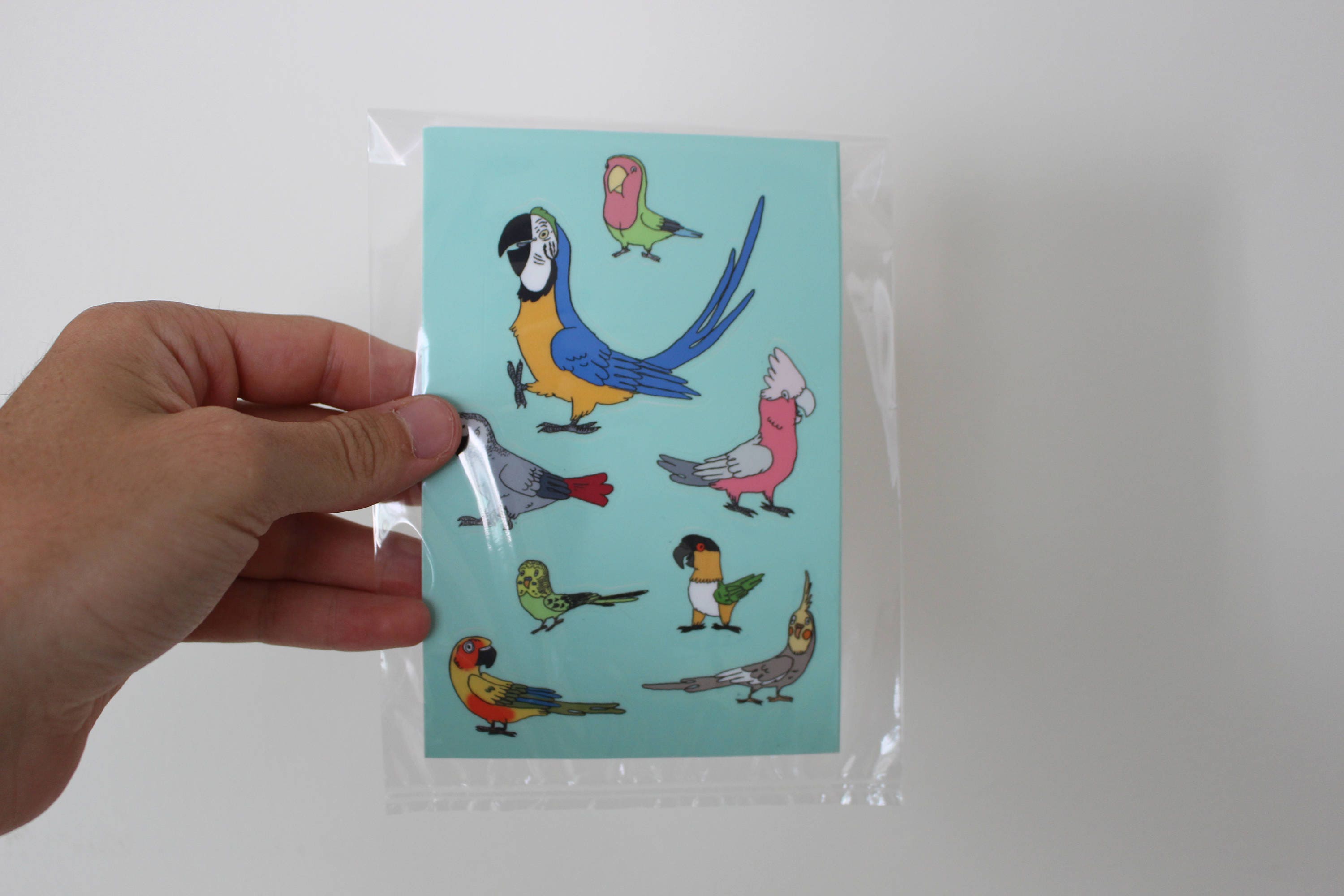 Cartoon Pet Bird / Parrot Vinyl Sticker Sheets Two Pack | Etsy