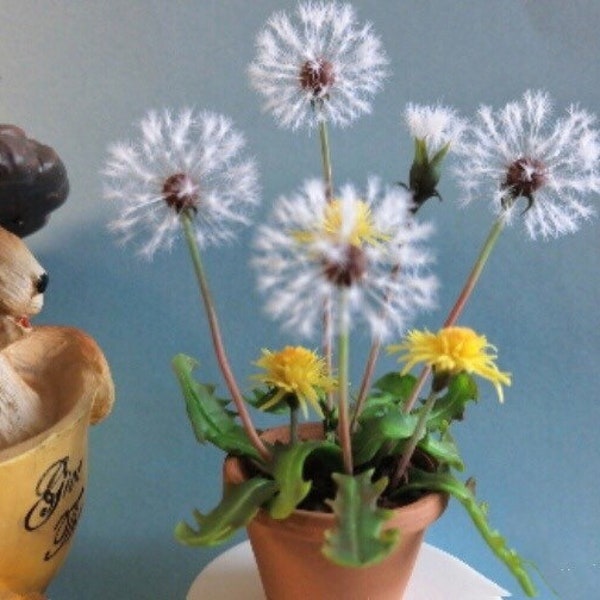 Dandelion Art - Etsy Australia