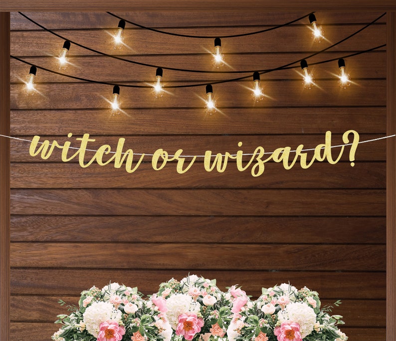 Witch or Wizard Gender Reveal Banner Gender Reveal Ideas - Etsy
