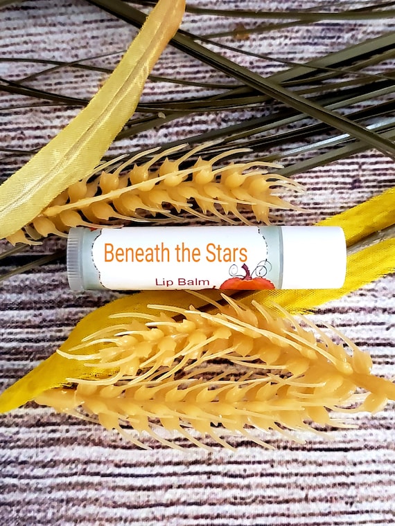 Fruity Lip Balm Fruit Lip Balm Organic Fruit Scented Lip | Etsy