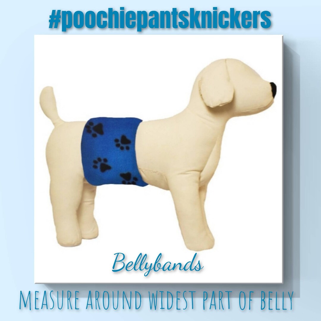 Dog Belly Bands, Made to Order. Dog Nappy, Dog Bands, Bellyband ...