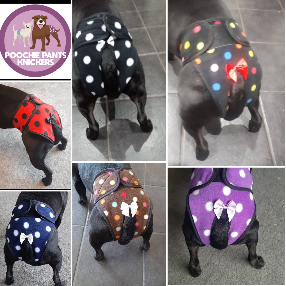 Handmade Dog Female Hygiene Knickers / Dog Season Pants / Dog - Etsy UK