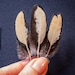 Peach & Black Sebright Chicken Feathers: Dreamcatcher Craft Supplies - Etsy