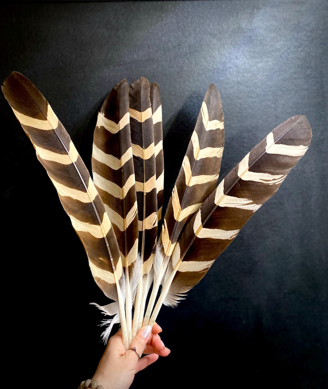 Huge Natural Turkey Wing Feather HAND PAINTED, Chevron Pattern, 47-49cm ...