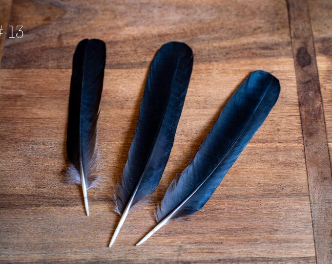 Set of 3 Black Crow Wing Feathers ( 16-20 Cm) for Dreamcatchers ...