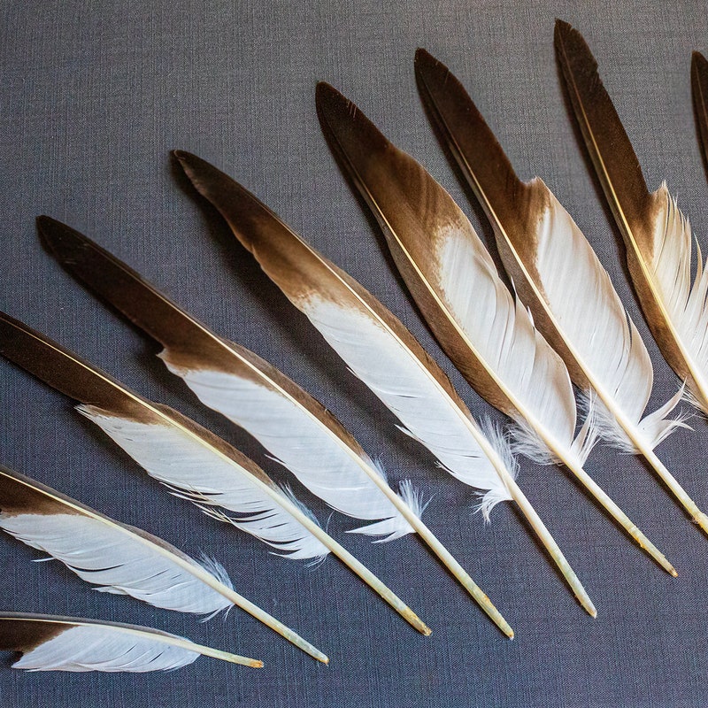 Craft Feathers - Etsy
