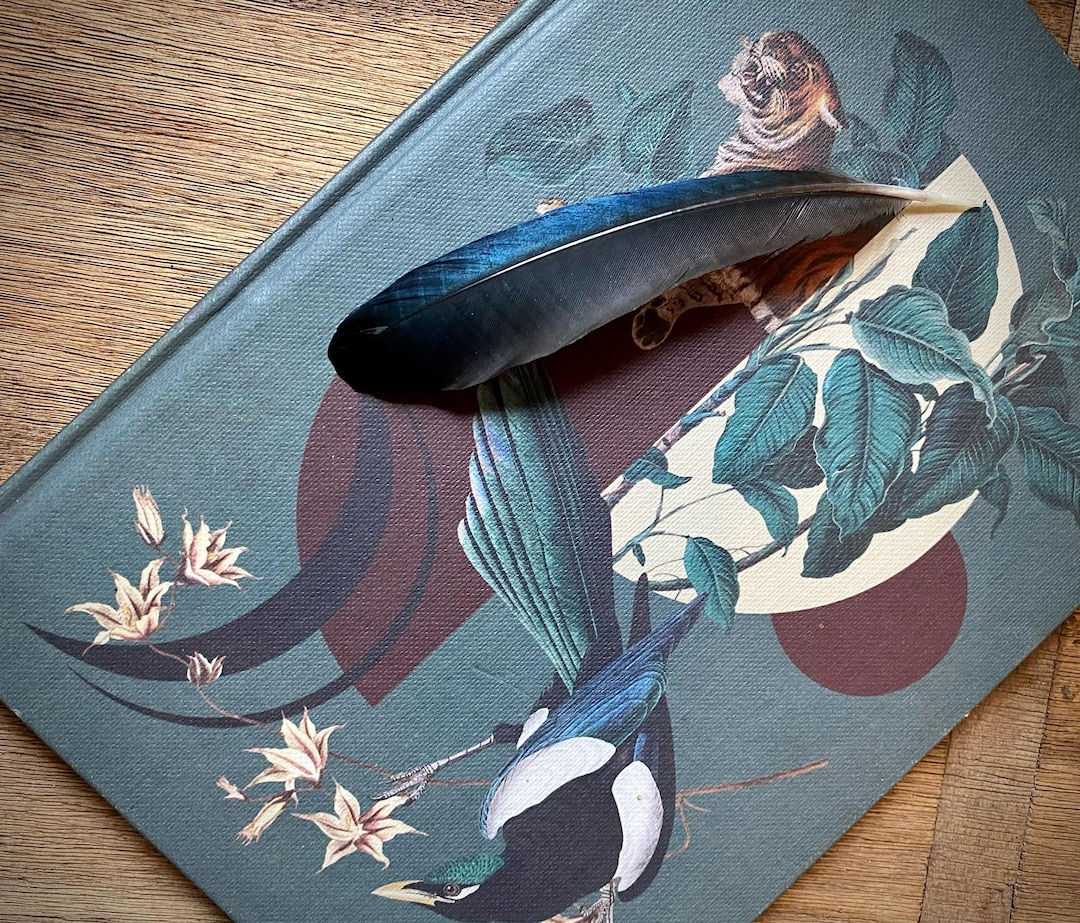 Natural Magpie Wing Feather: Black & Green Feather (12cm / 4.72") - Etsy