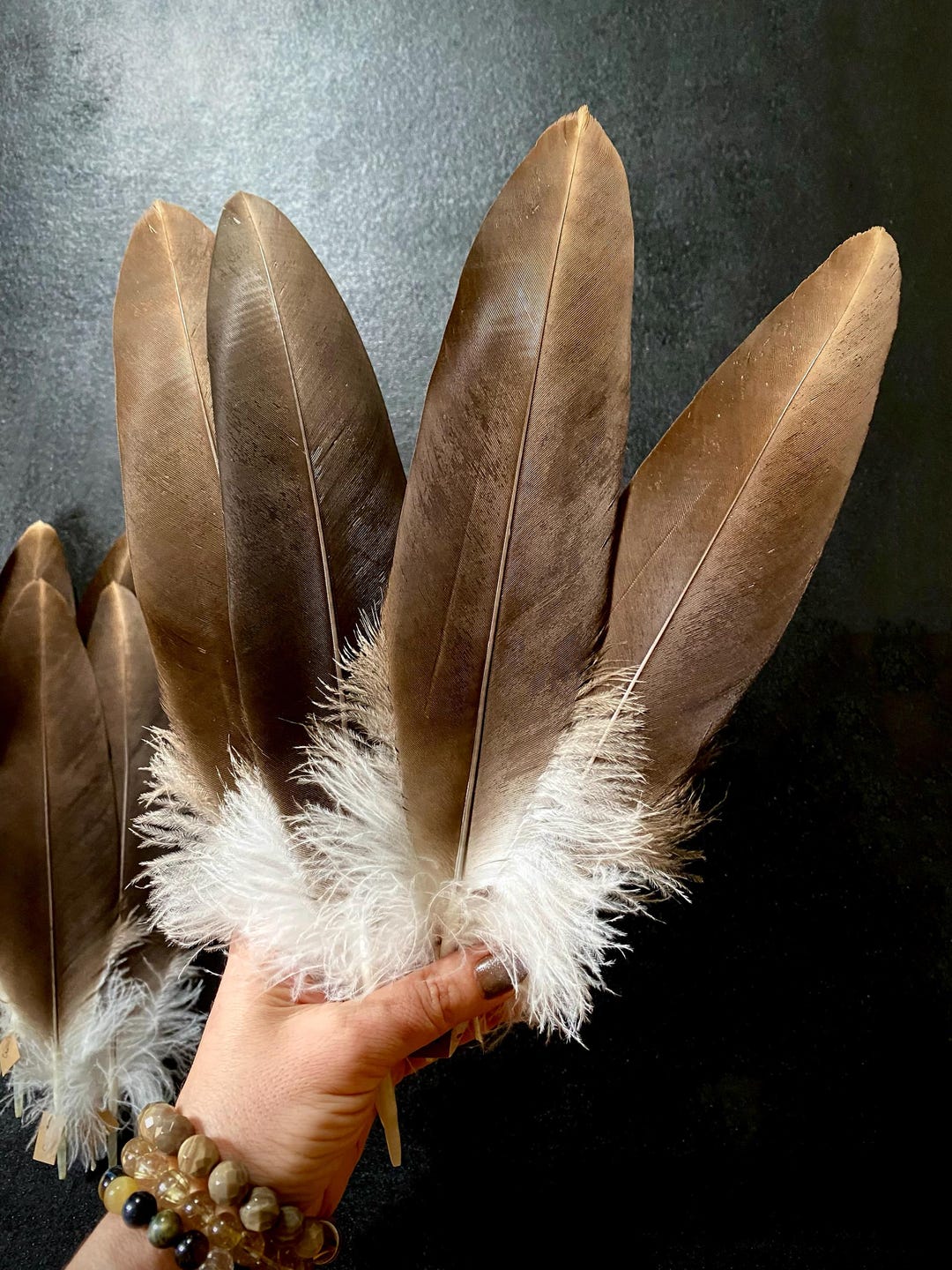 RARE One Feather of White-tailed Eagle for Dreamcatchers, Wing/body ...