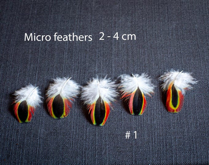 Set of 5 Natural MICRO Colourful Feathers, 2-4cm, Very Small Feathers ...