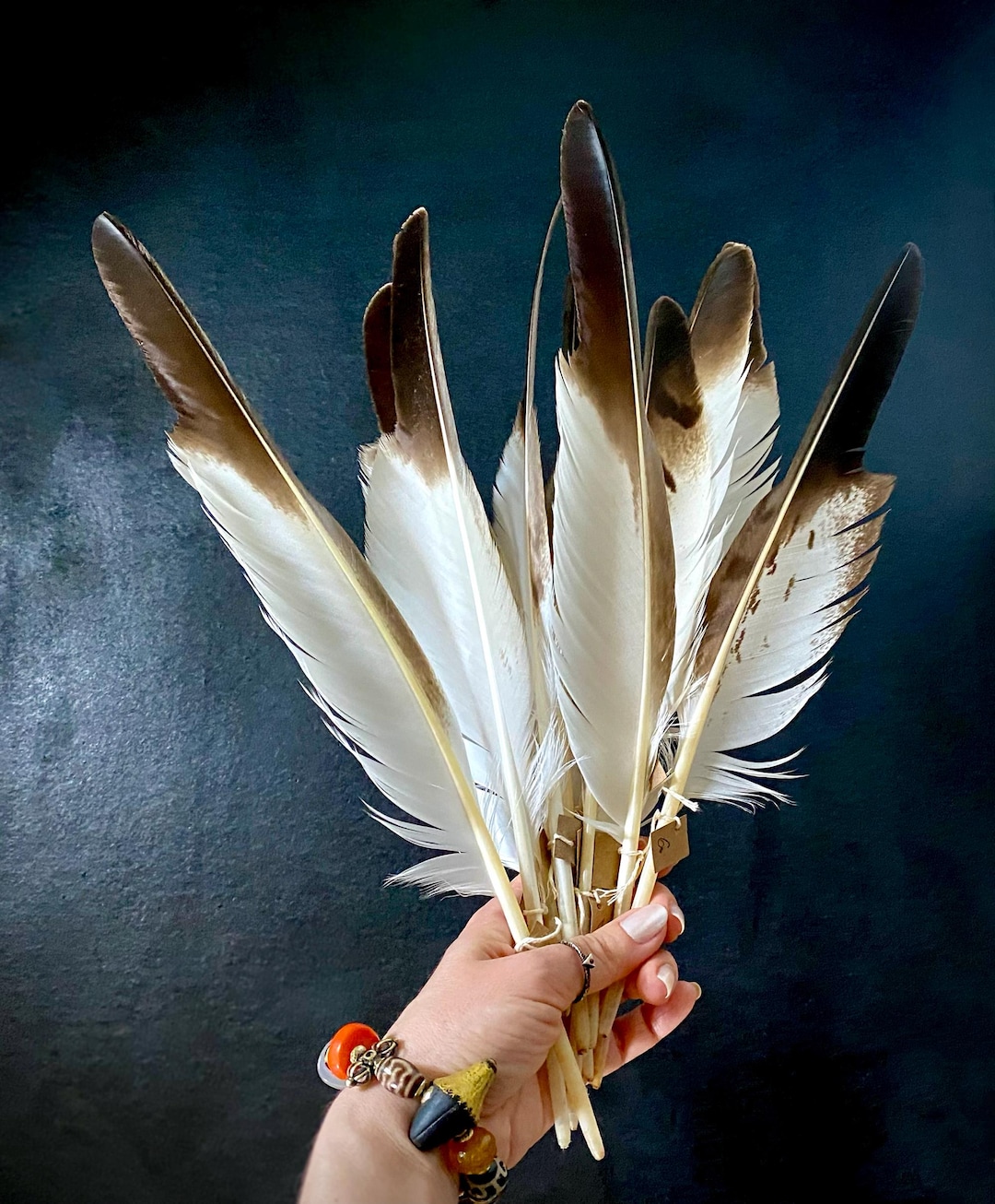 Long Wing Feather (38-42cm): Dreamcatcher, Arts & Crafts - Etsy