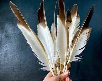 ONE FEATHER, Owl Wings Feathers (15- 27cm)for Dreamcatchers Feathers ...