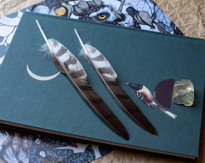 Pair of Small Hawk Feathers for Dreamcatchers Feathers Arts and Crafts ...