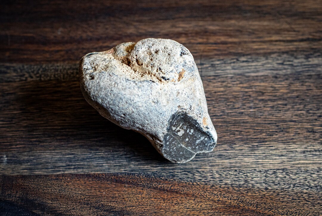 Large Flint Concretion, 470g Natural Flint #1 Brown Flint Stone, Flint ...