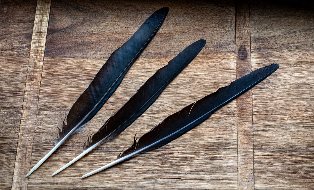 Long Black Raven Wings Feathers SET4 for Dreamcatchers Feathers Arts ...