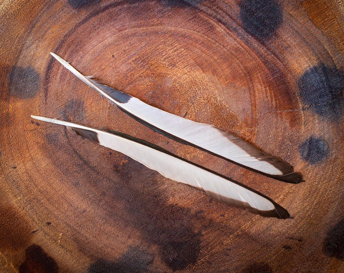 PAIR of Natural Magpie Wing Feathers #1 for Dream Catchers, Black White ...