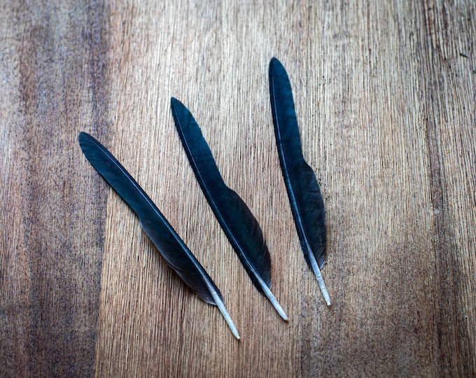 ONE FEATHER, Owl Wings Feathers (15- 27cm)for Dreamcatchers Feathers ...