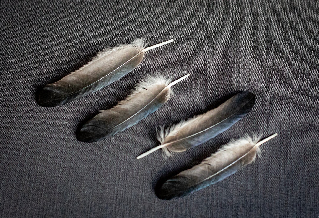 1 SET of Black Rook SMALL Wings Feathers for Dreamcatchers Feathers ...