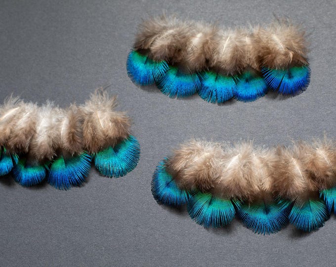 Set of 5 Natural RARE Peacock Feathers Beautiful Iridescent Turquoise ...