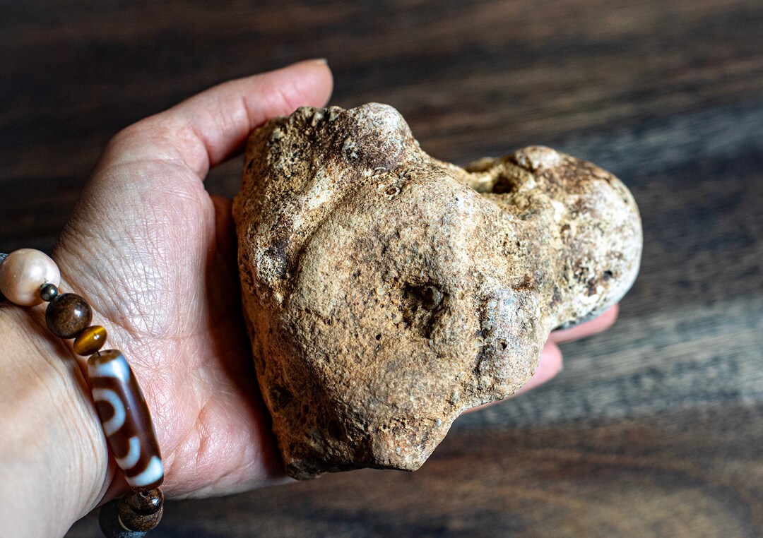 Large Flint Concretion, 637g Natural Flint #1 Brown Flint Stone, Flint ...