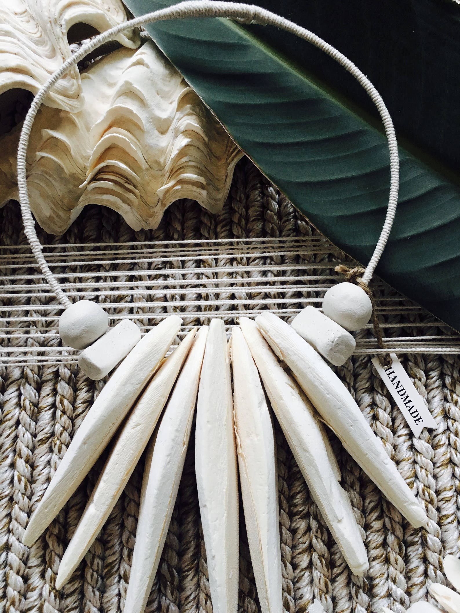 SMALL White Cuttlefish Wall Hanging - Etsy Australia