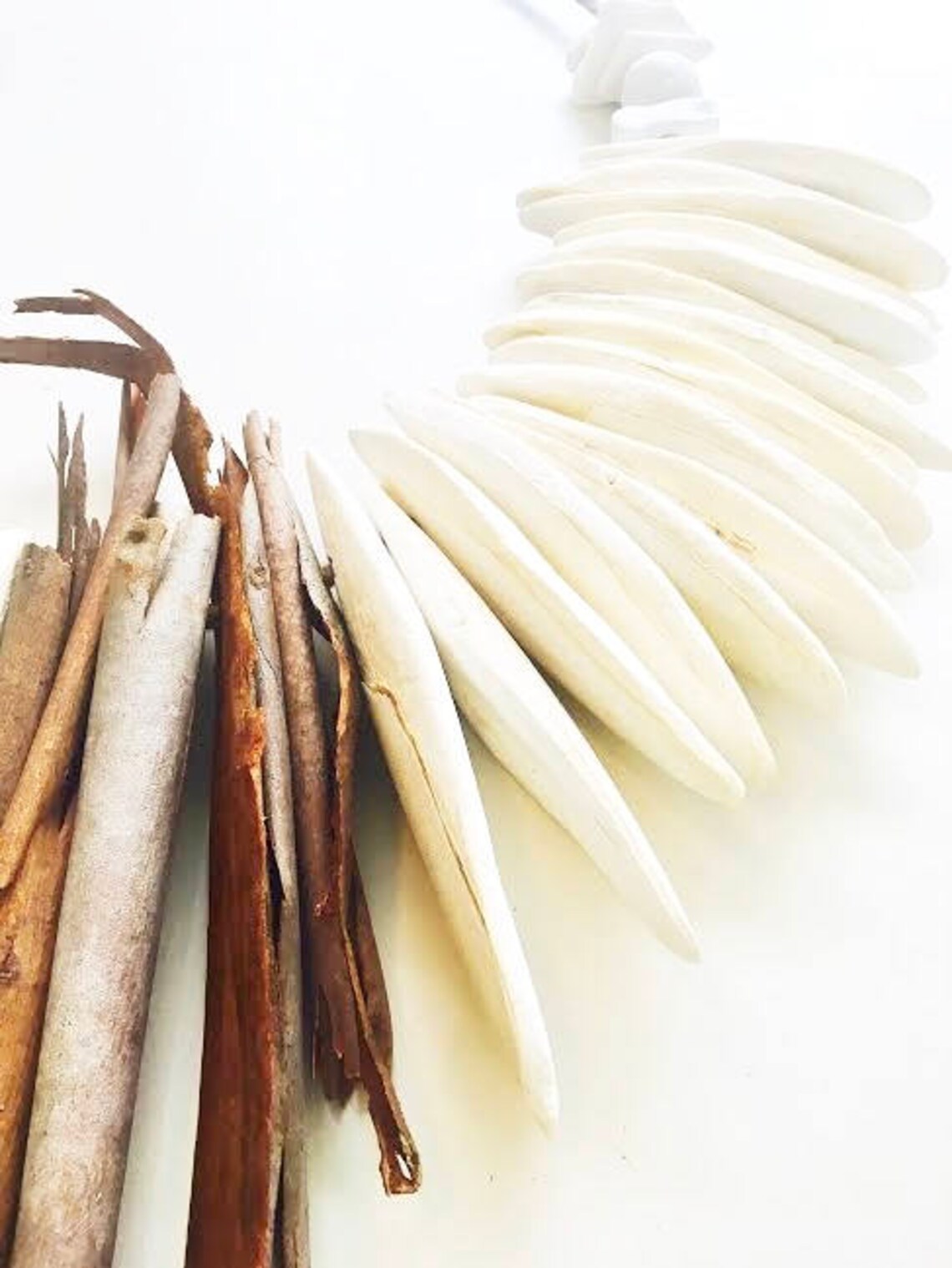 LARGE Cuttlefish Bone Bark Wall Hanging Decor - Etsy