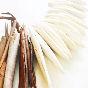 LARGE Cuttlefish Bone Bark Wall Hanging Decor - Etsy