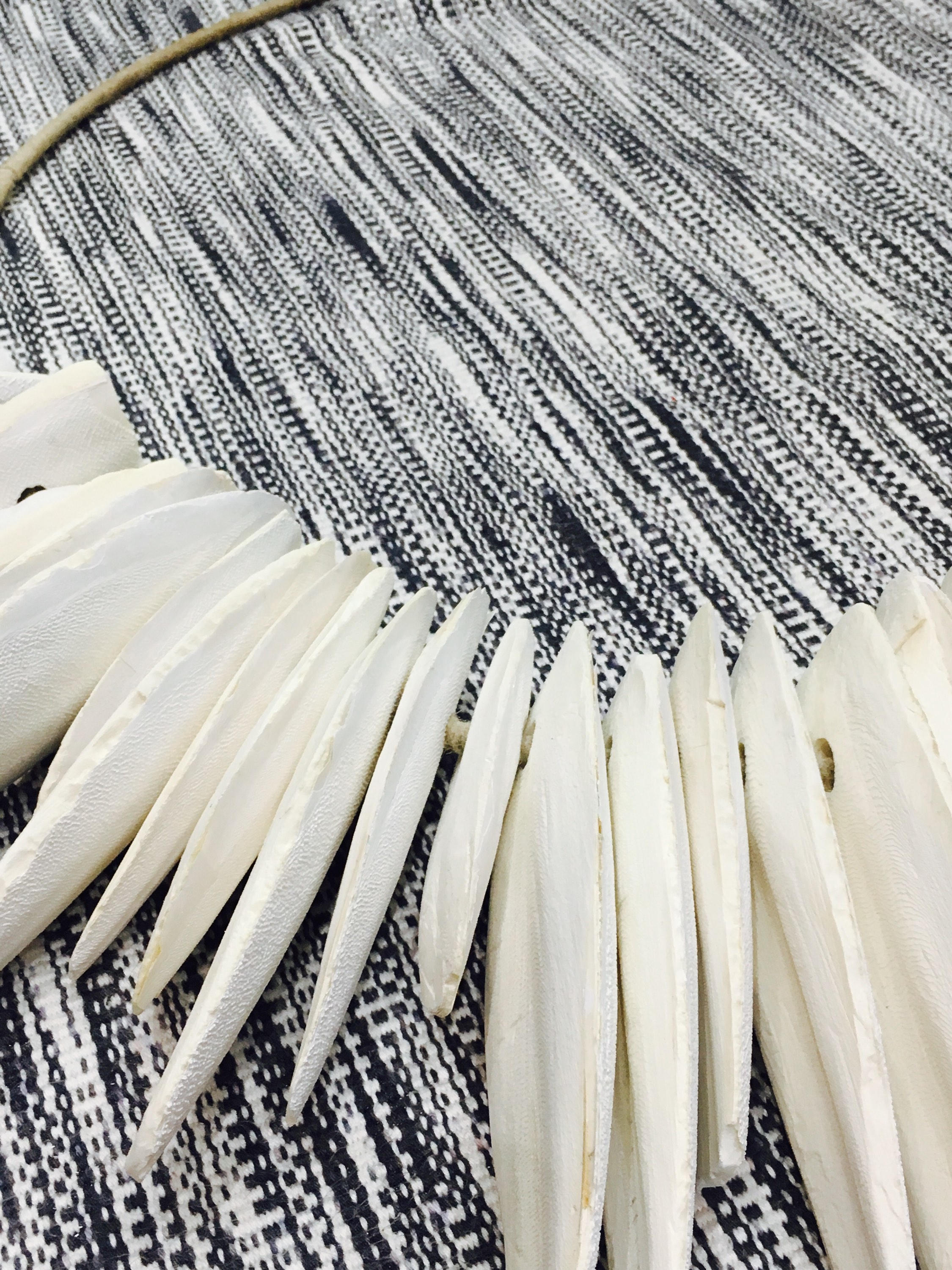 LARGE Black Cuttlefish Wall Hanging Decor - Etsy