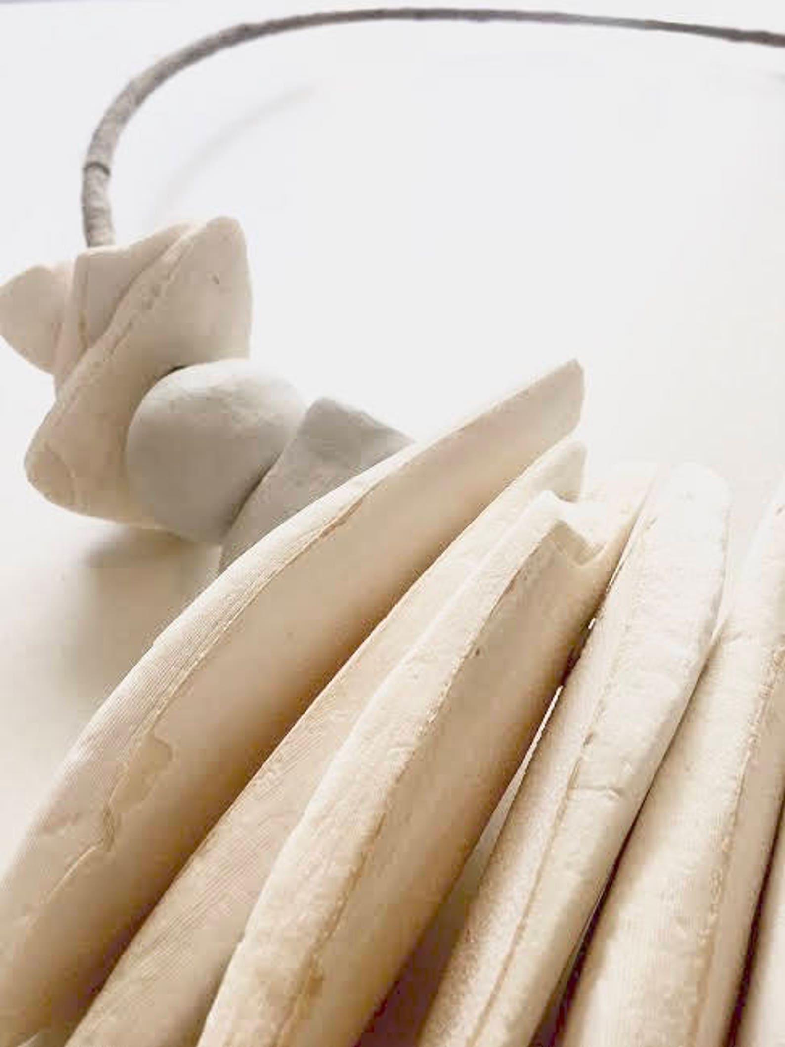 LARGE Cuttlefish Bone Bark Wall Hanging Decor - Etsy