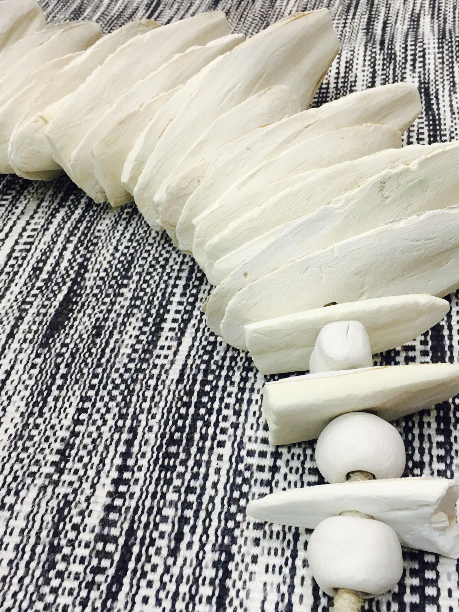 LARGE Black Cuttlefish Wall Hanging Decor - Etsy