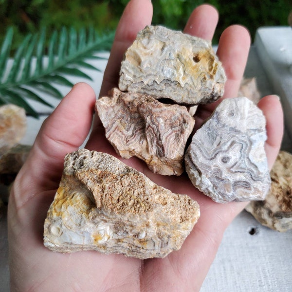 Crazy Lace Agate - Etsy