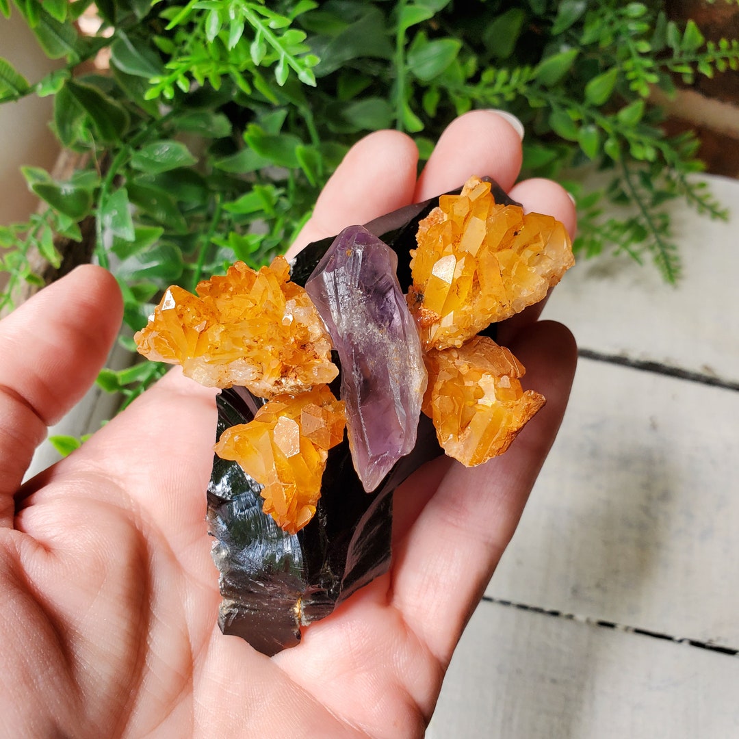 Butterfly Crystal Sculpture, Crystal Butterfly on Black Obsidian ...