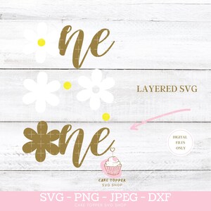 Daisy One SVG Cut File 1st Birthday Retro Daisy Theme Party - Etsy