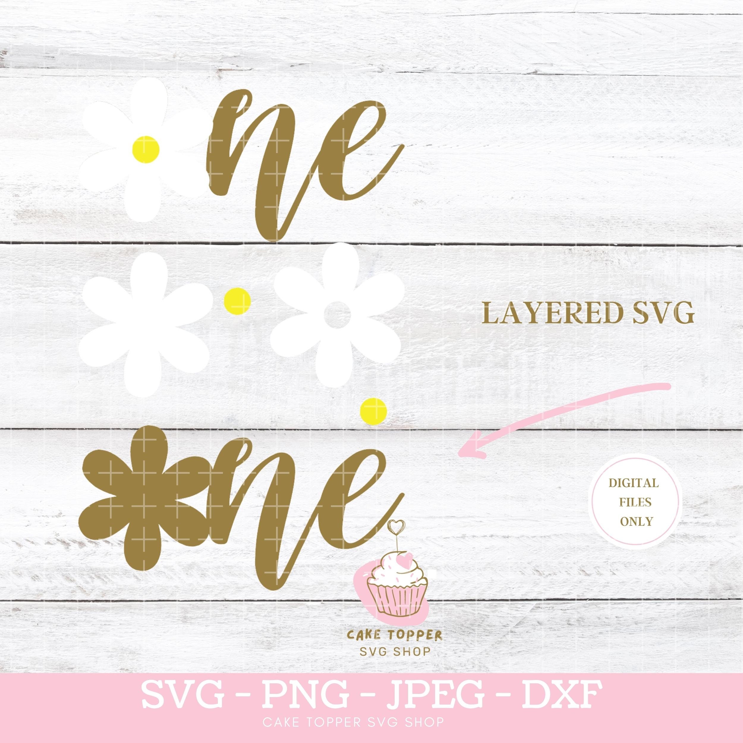Daisy One SVG Cut File 1st Birthday Retro Daisy Theme - Etsy