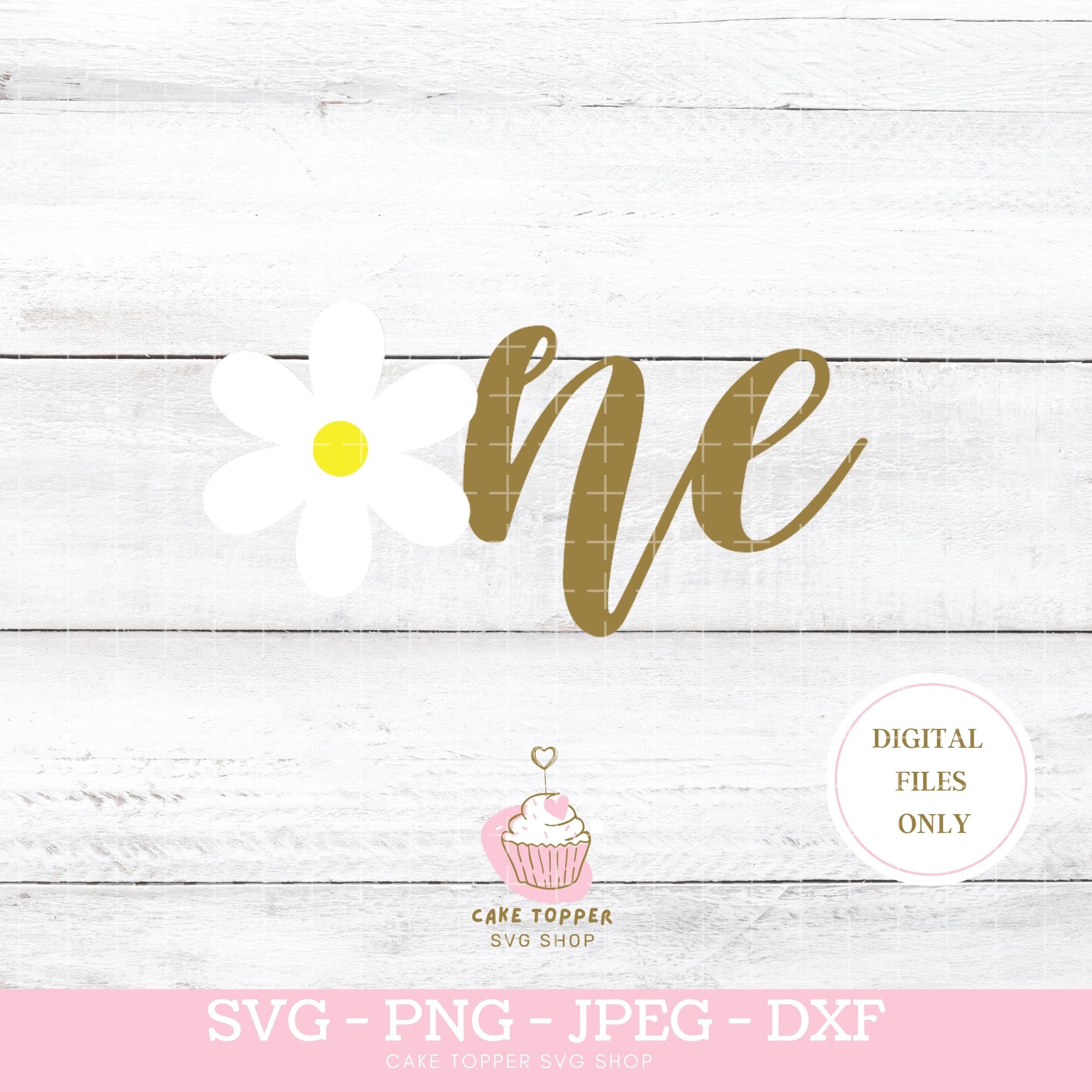 Daisy One SVG Cut File 1st Birthday Retro Daisy Theme - Etsy
