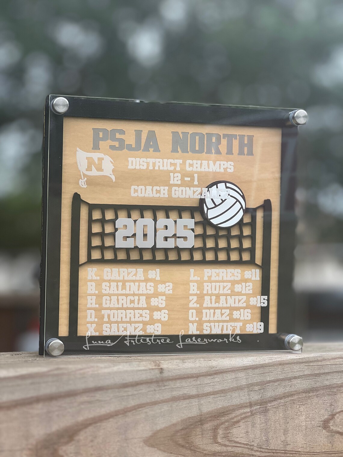 Volleyball Plaque, Volleyball Coach's Gift, Coach Appreciation Gift ...