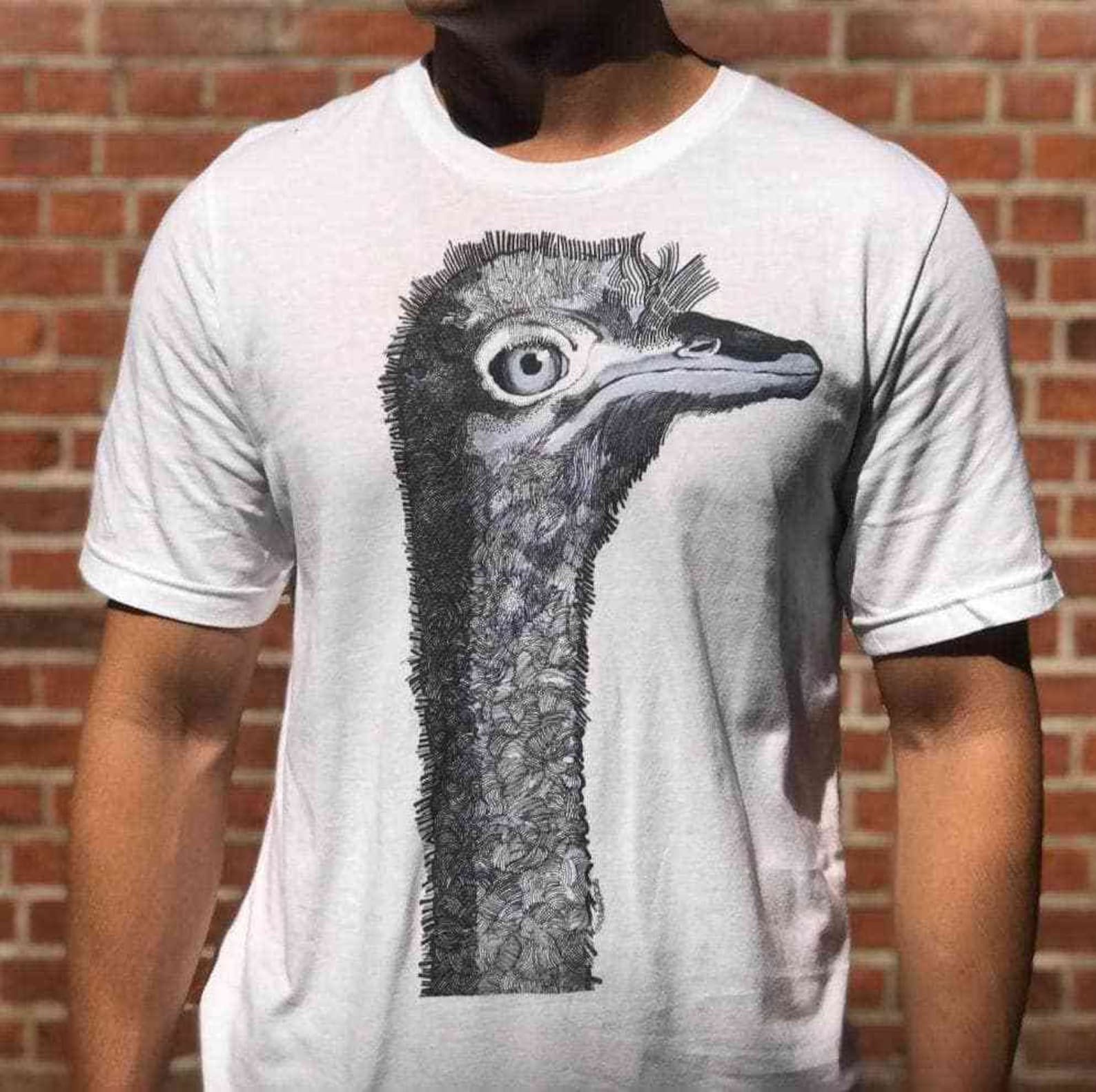 Ostrich T-shirt - Etsy