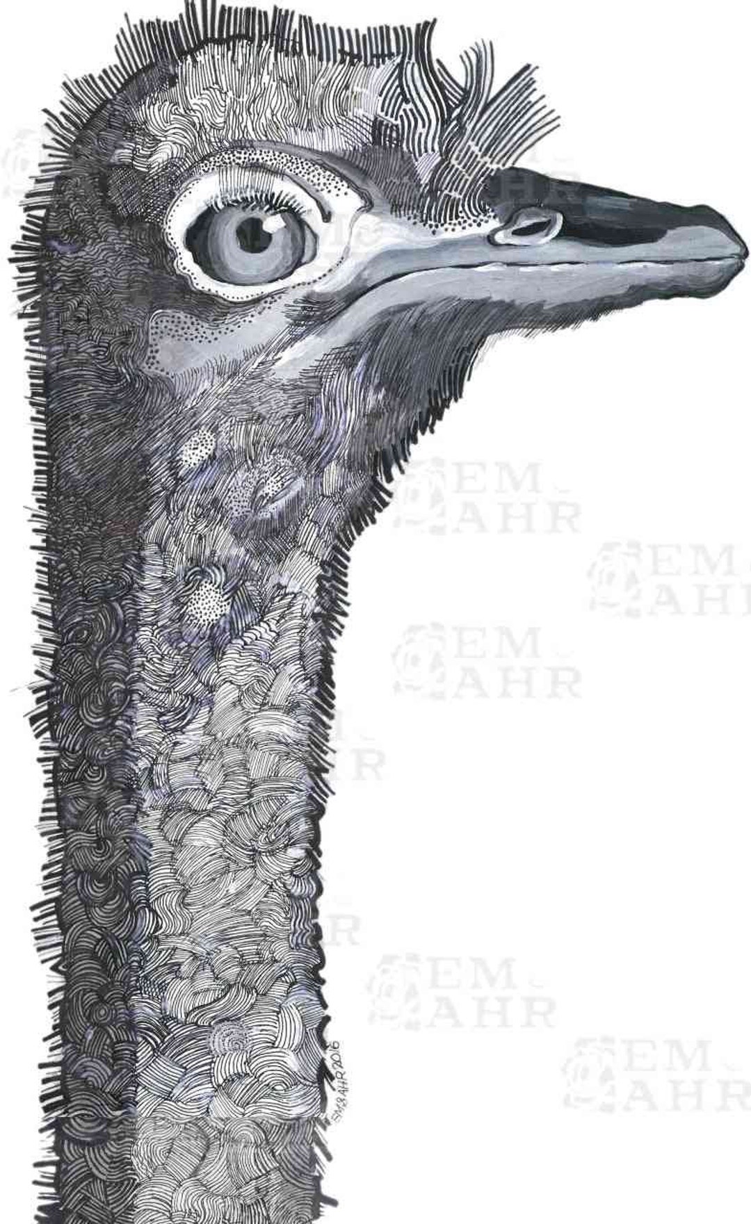 Ostrich T-shirt - Etsy