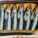 Sardines in a Can PRINT, Simple Art Fish POSTER, Sardine Fish Art ...