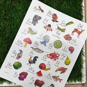 Nature Animals and Objects Alphabet Watercolor Art DIGITAL FILES POSTER ...