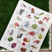Nature Animals and Objects Alphabet Watercolor Art DIGITAL FILES POSTER ...